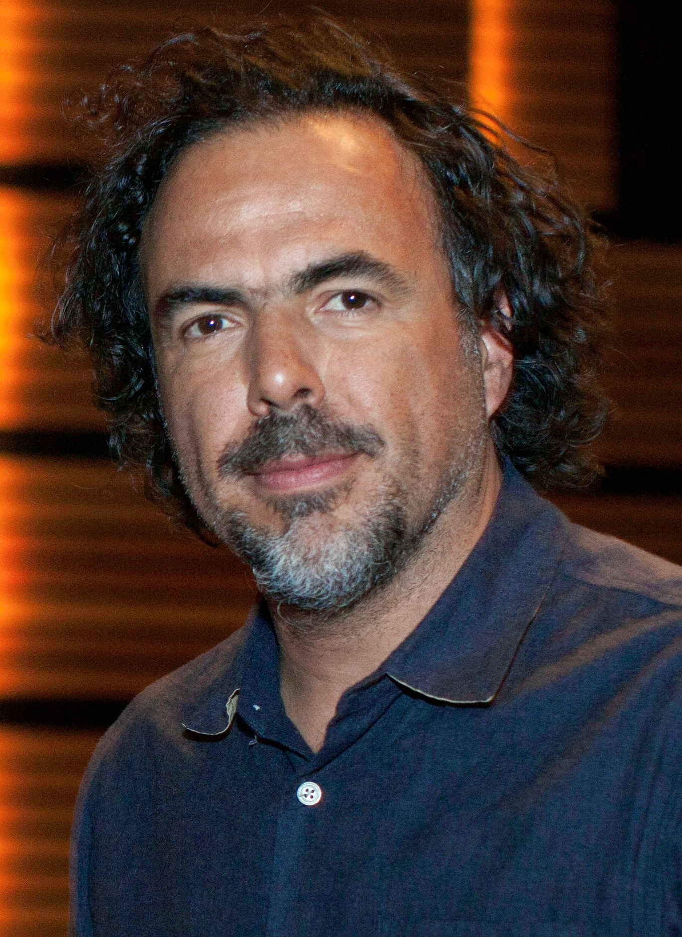 Alejandro González Iñárritu – Bronze Screen Dream