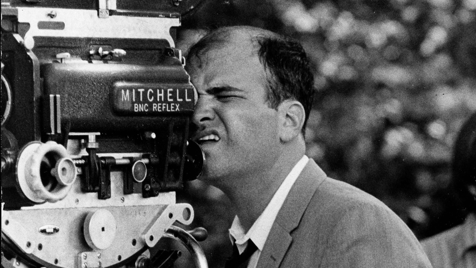 Terrence Malick – Bronze Screen Dream